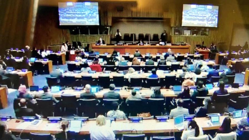 IGC-4 on BBNJ kicks off - The Foreign Affairs News